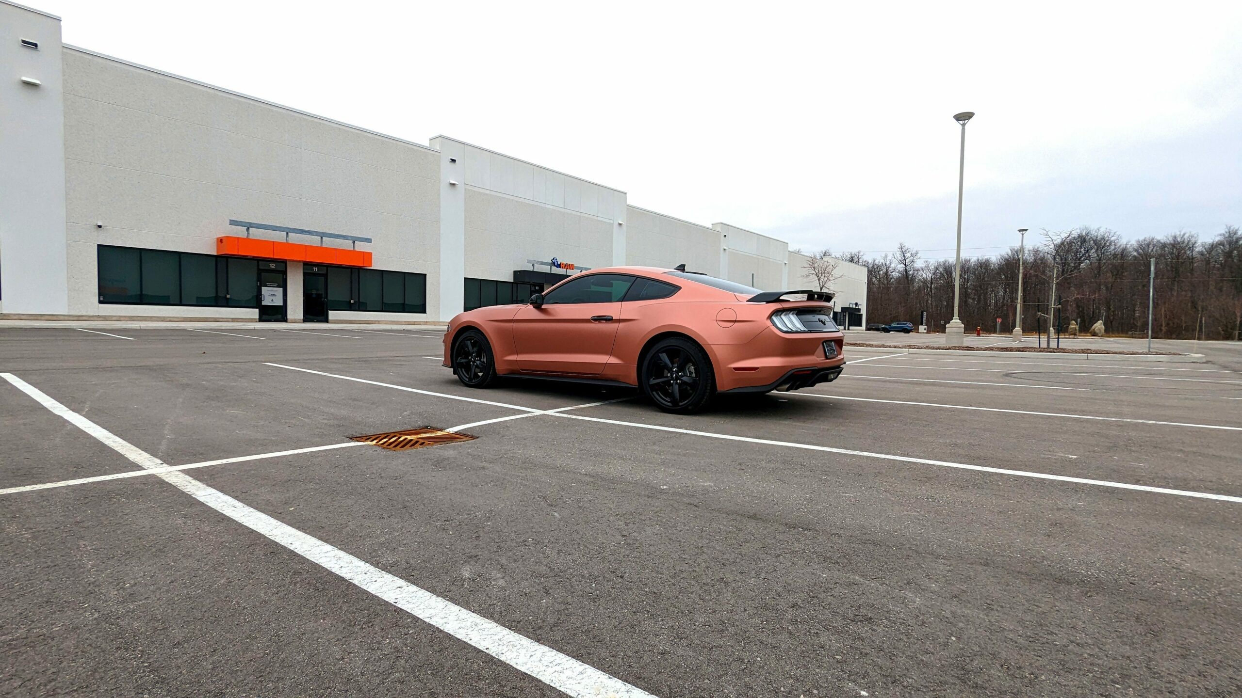 Ford Mustang Satin Rose Gold - Concept Wraps