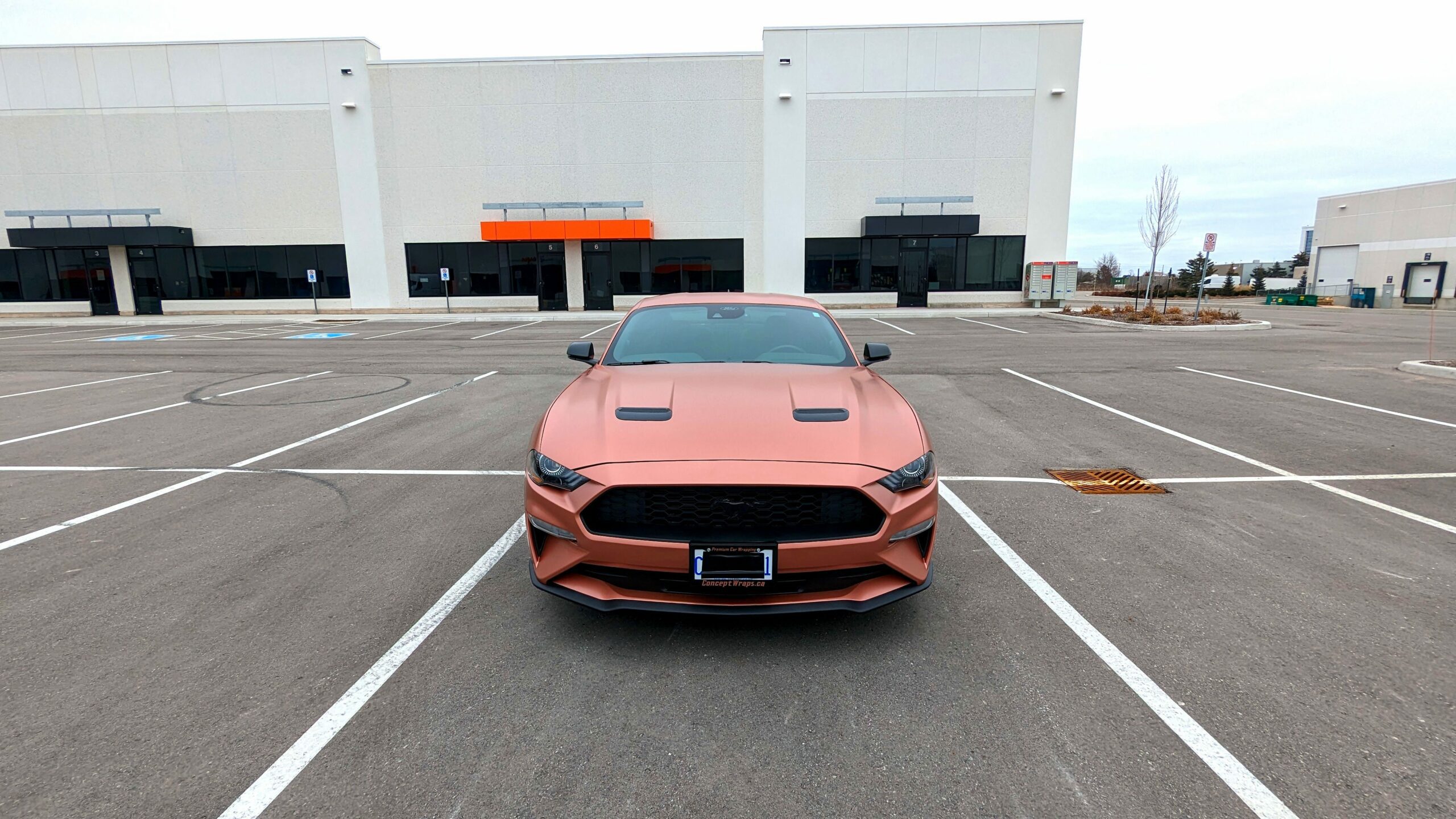 Ford Mustang Satin Rose Gold - Concept Wraps