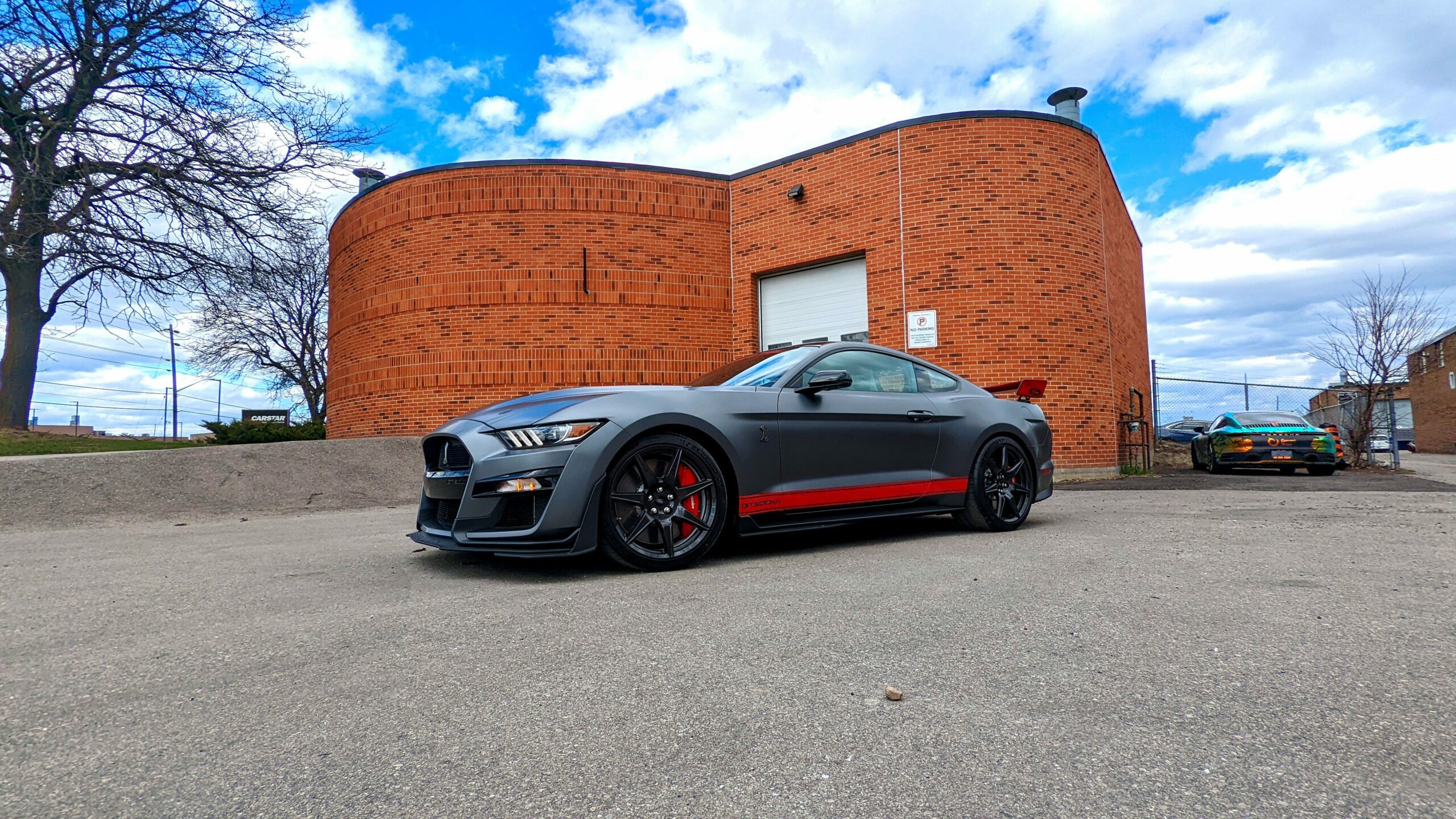 Ford Mustang Shelby Full Satin PPF - Concept Wraps
