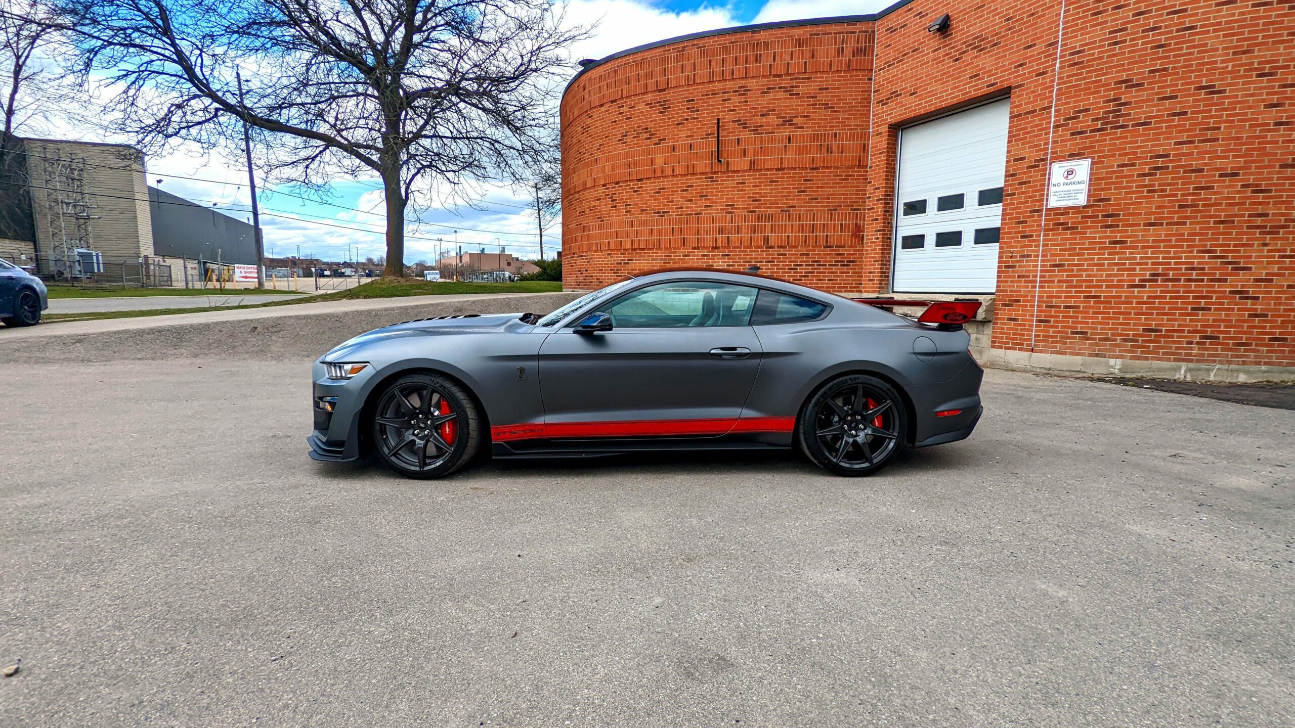 Ford Mustang Shelby Full Satin PPF - Concept Wraps