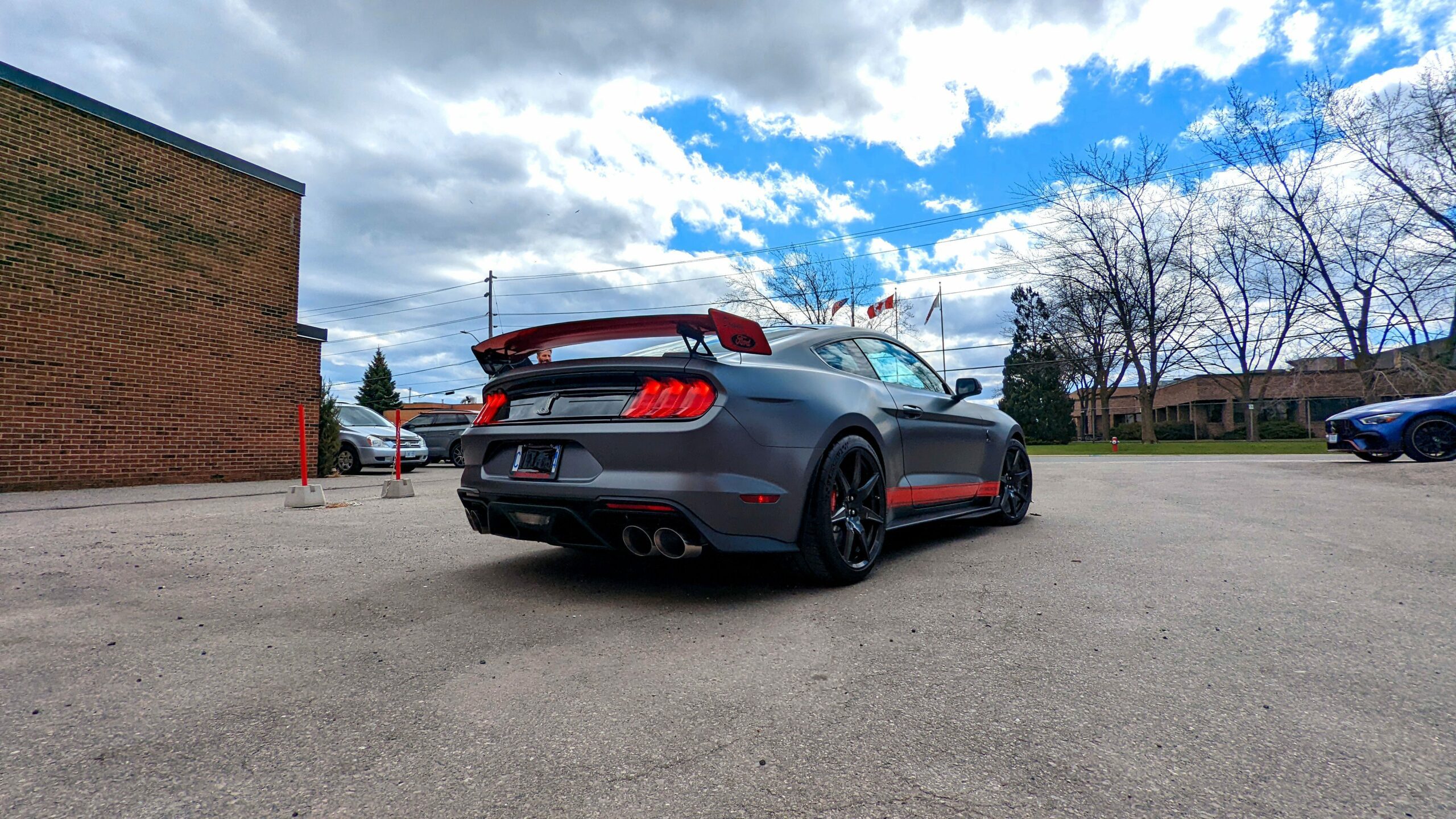 Ford Mustang Shelby Full Satin PPF - Concept Wraps