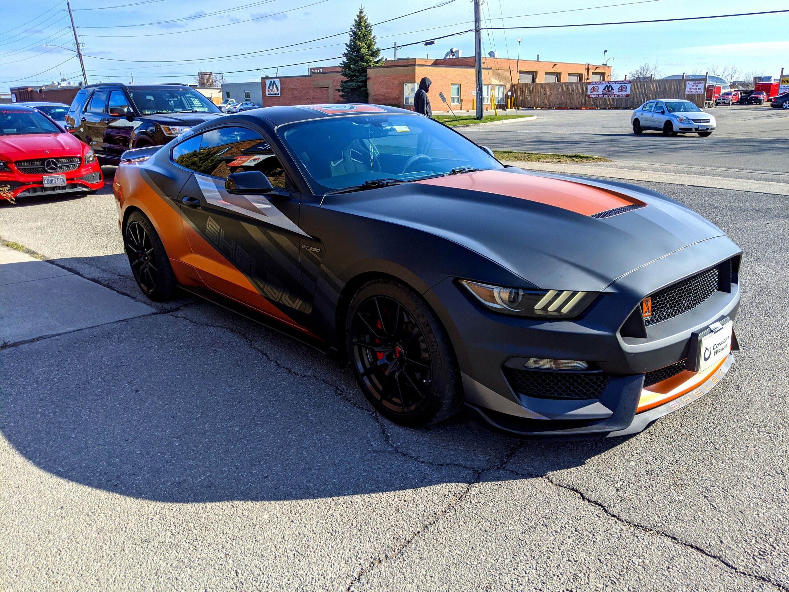 Ford Mustang Shelby Livery - Concept Wraps