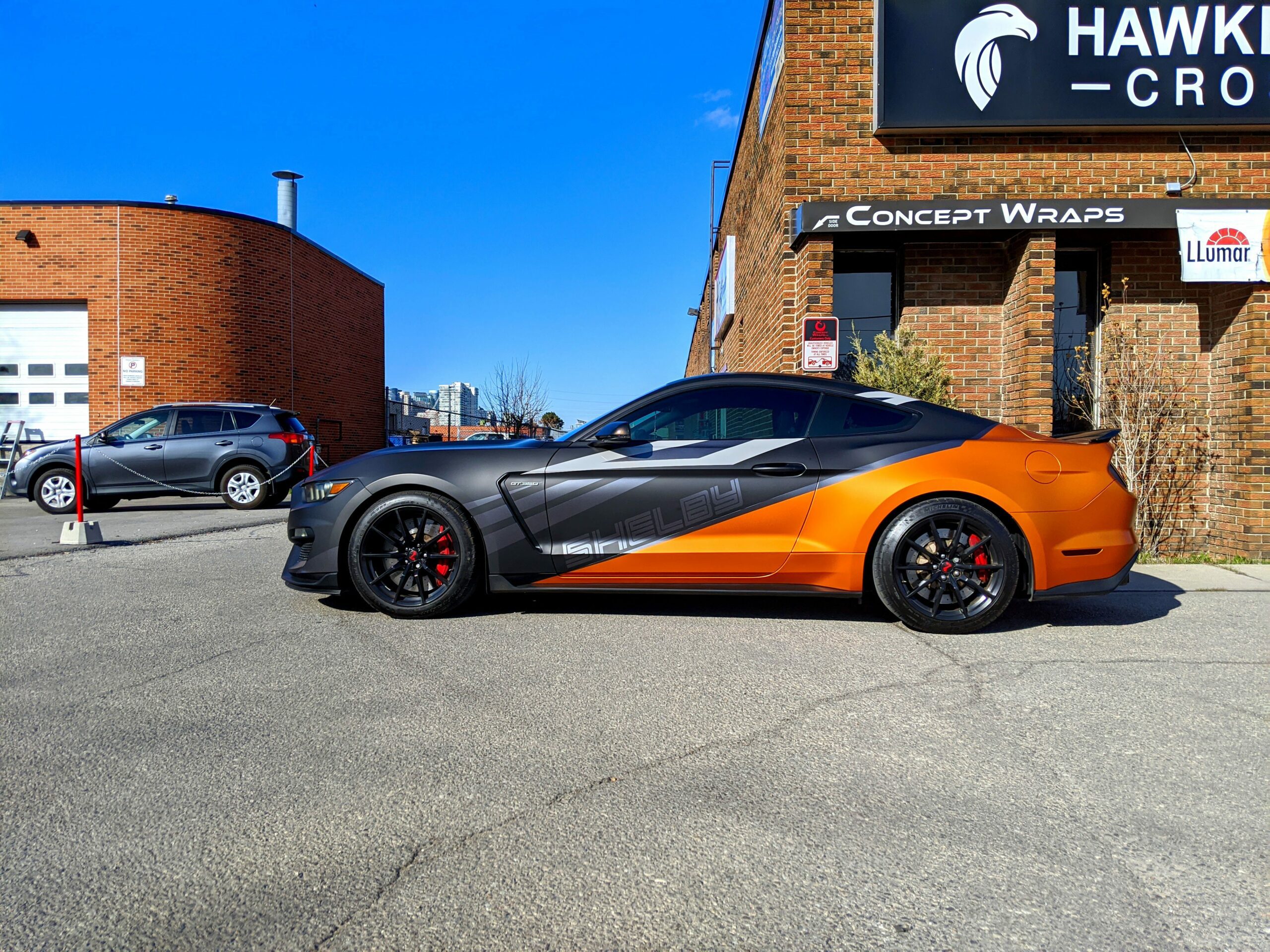 Ford Mustang Shelby Livery - Concept Wraps