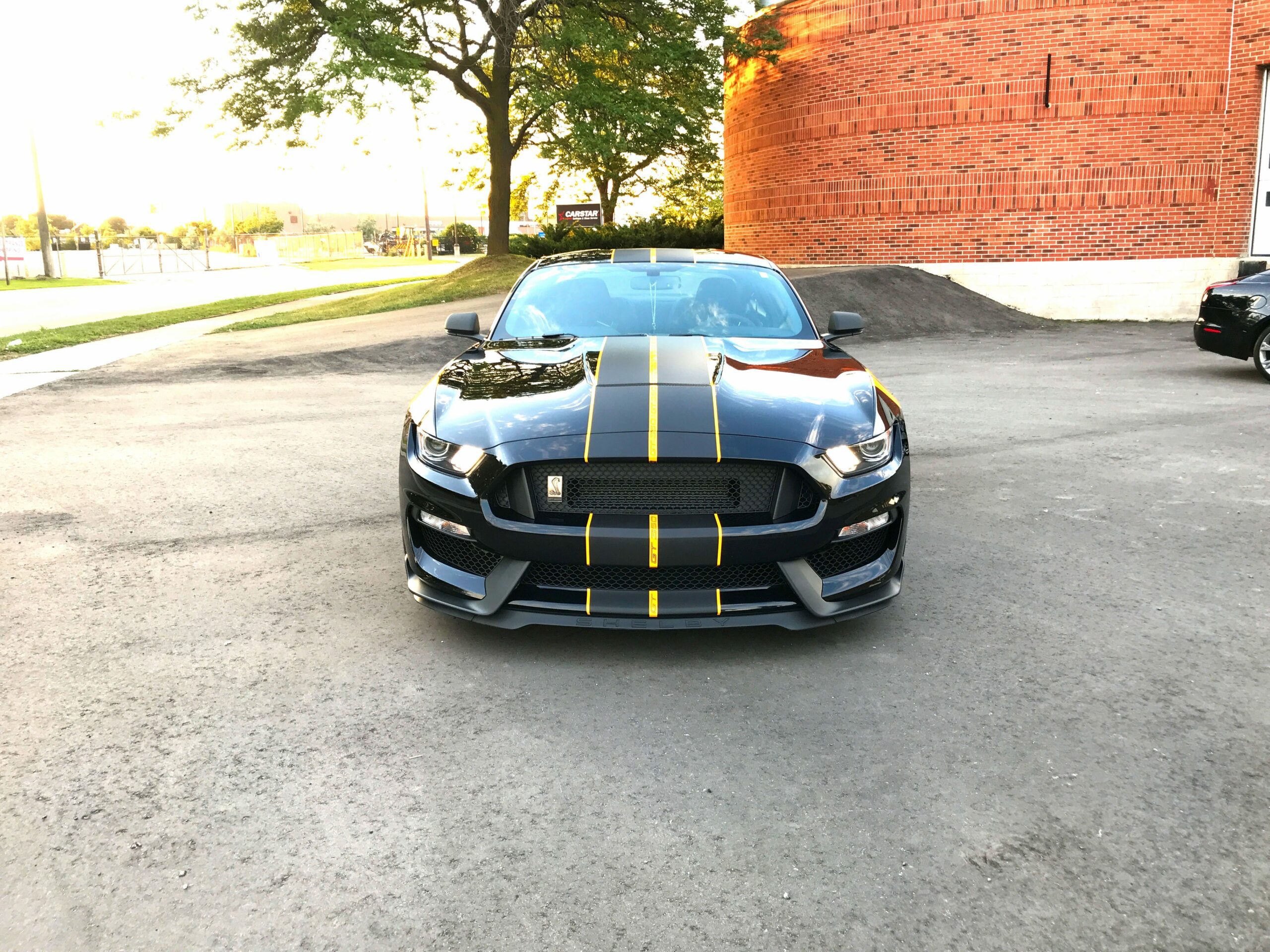 Ford Mustang Shelby Stripes - Concept Wraps