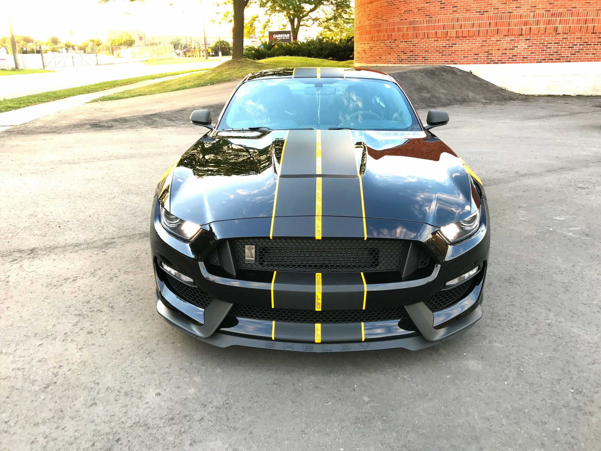 Ford Mustang Shelby Stripes - Concept Wraps