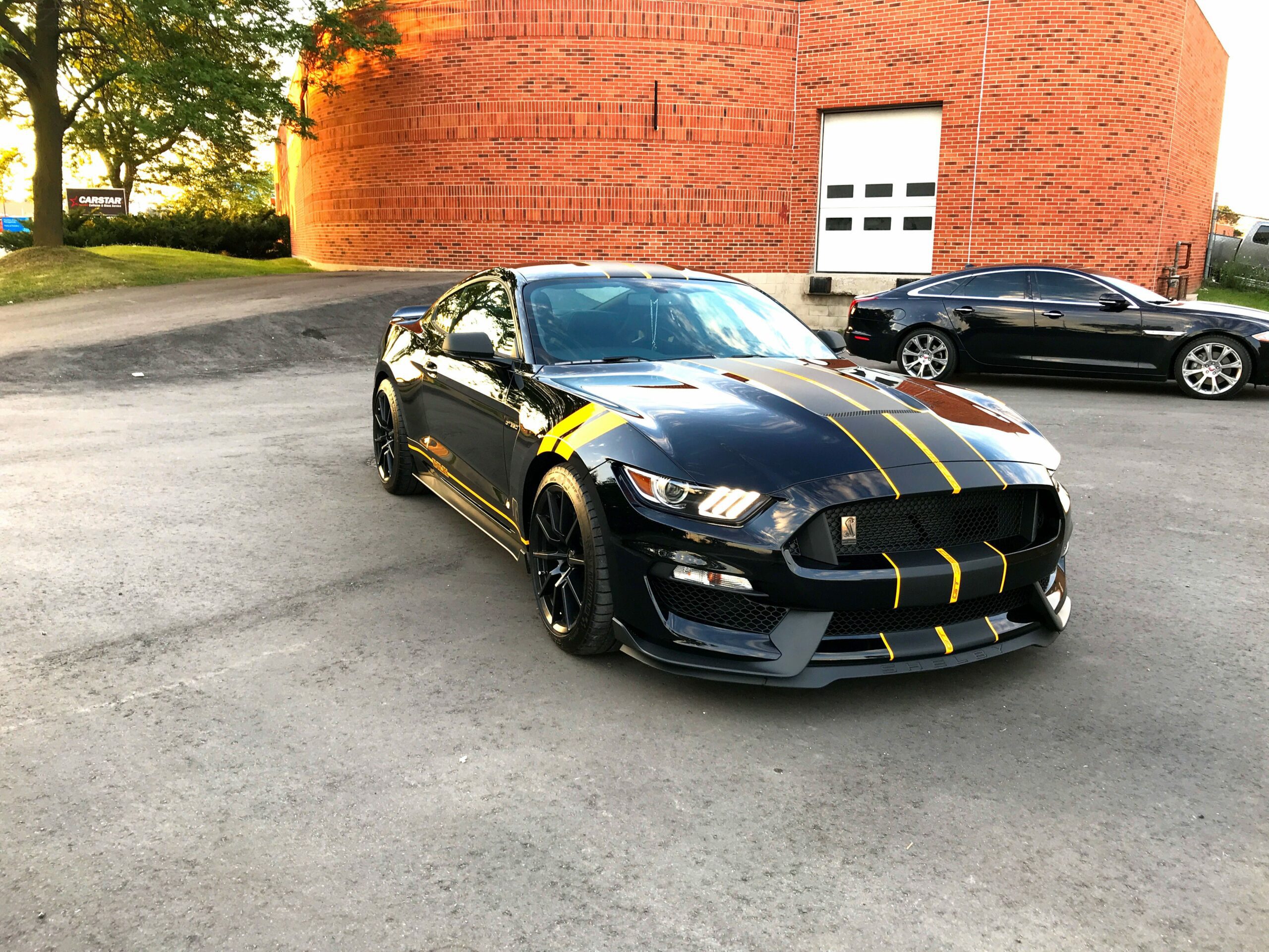 Ford Mustang Shelby Stripes - Concept Wraps