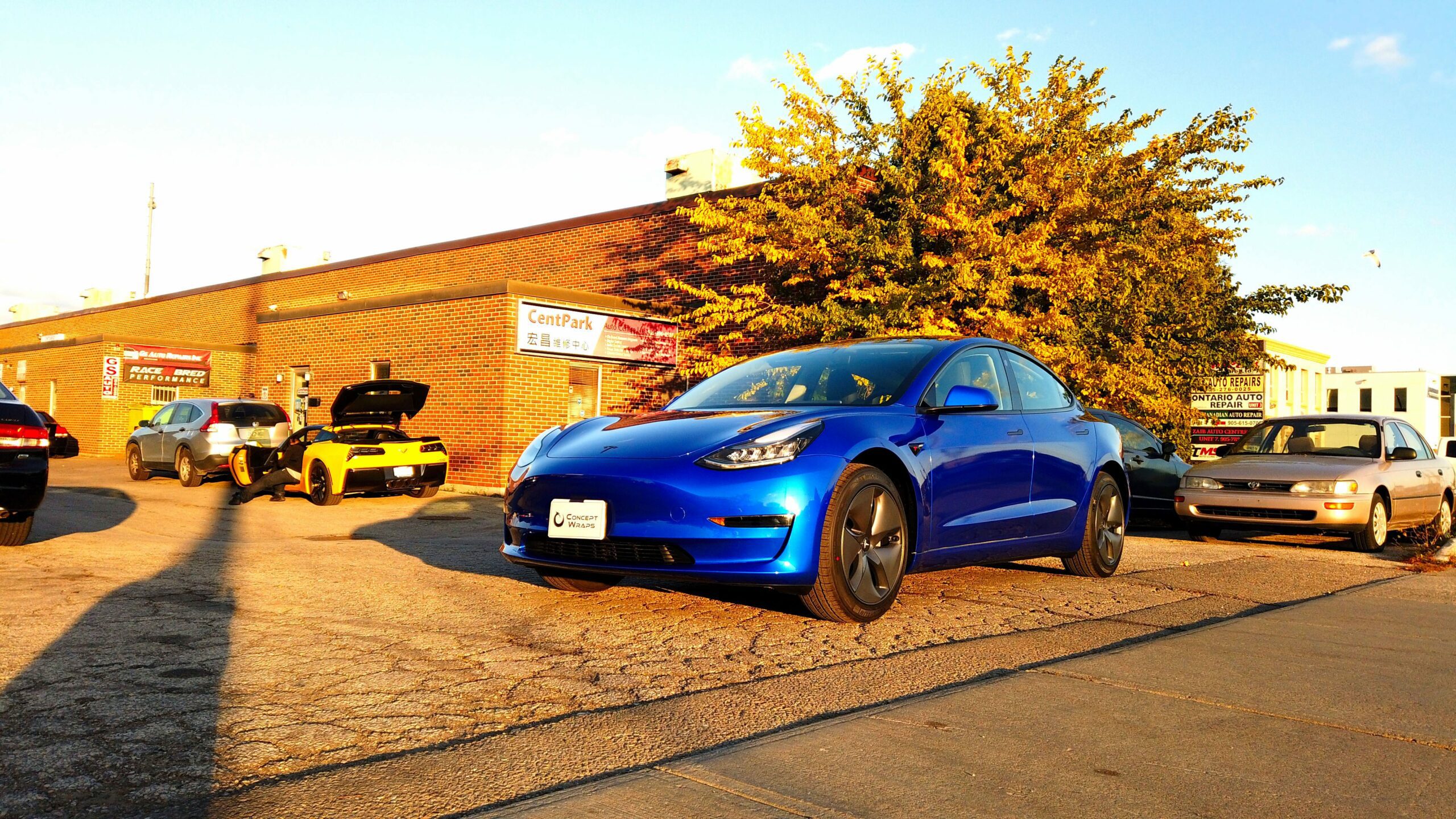 Tesla Model 3 Gloss Blue - Concept Wraps
