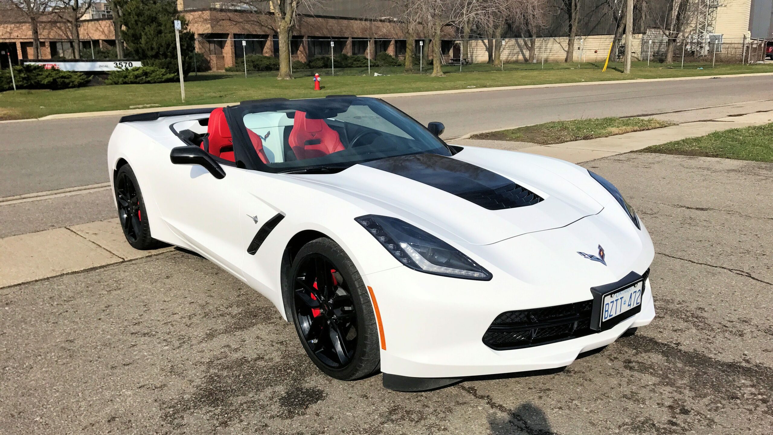 Tesla Model Y Matte Iced Viper Green + Custom Design - Concept Wraps