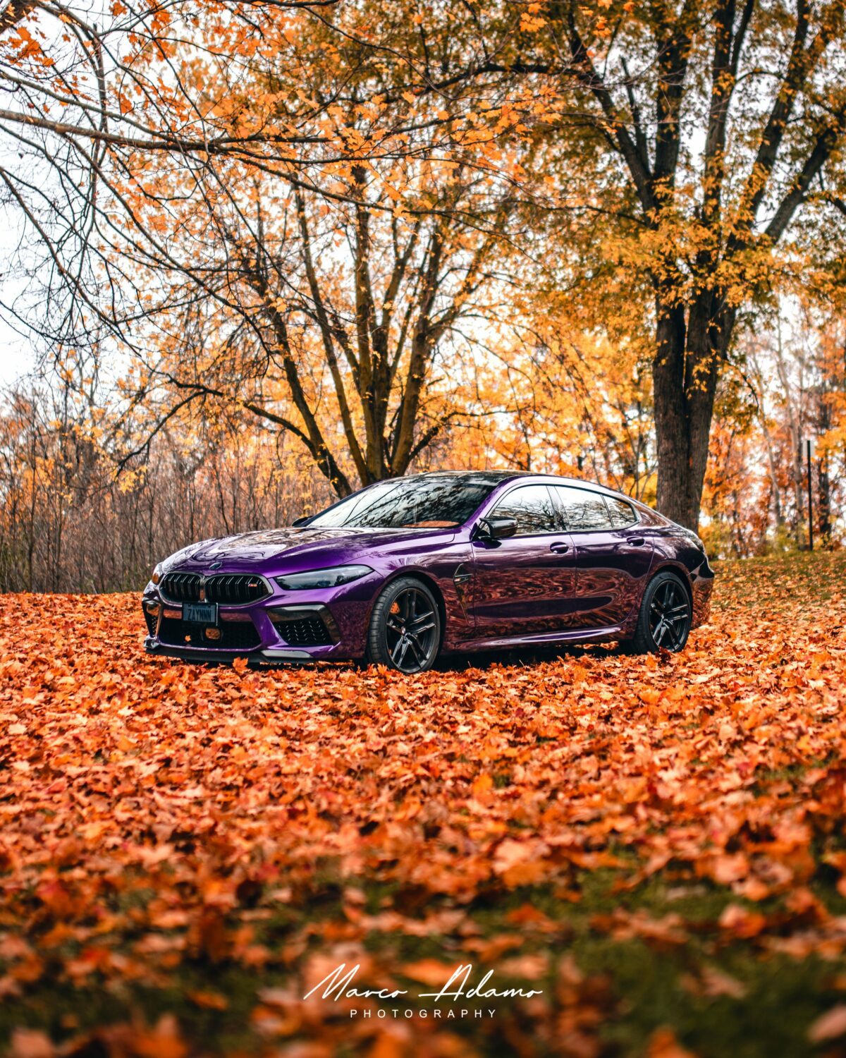 BMW M8 Competition Midnight Purple - Concept Wraps