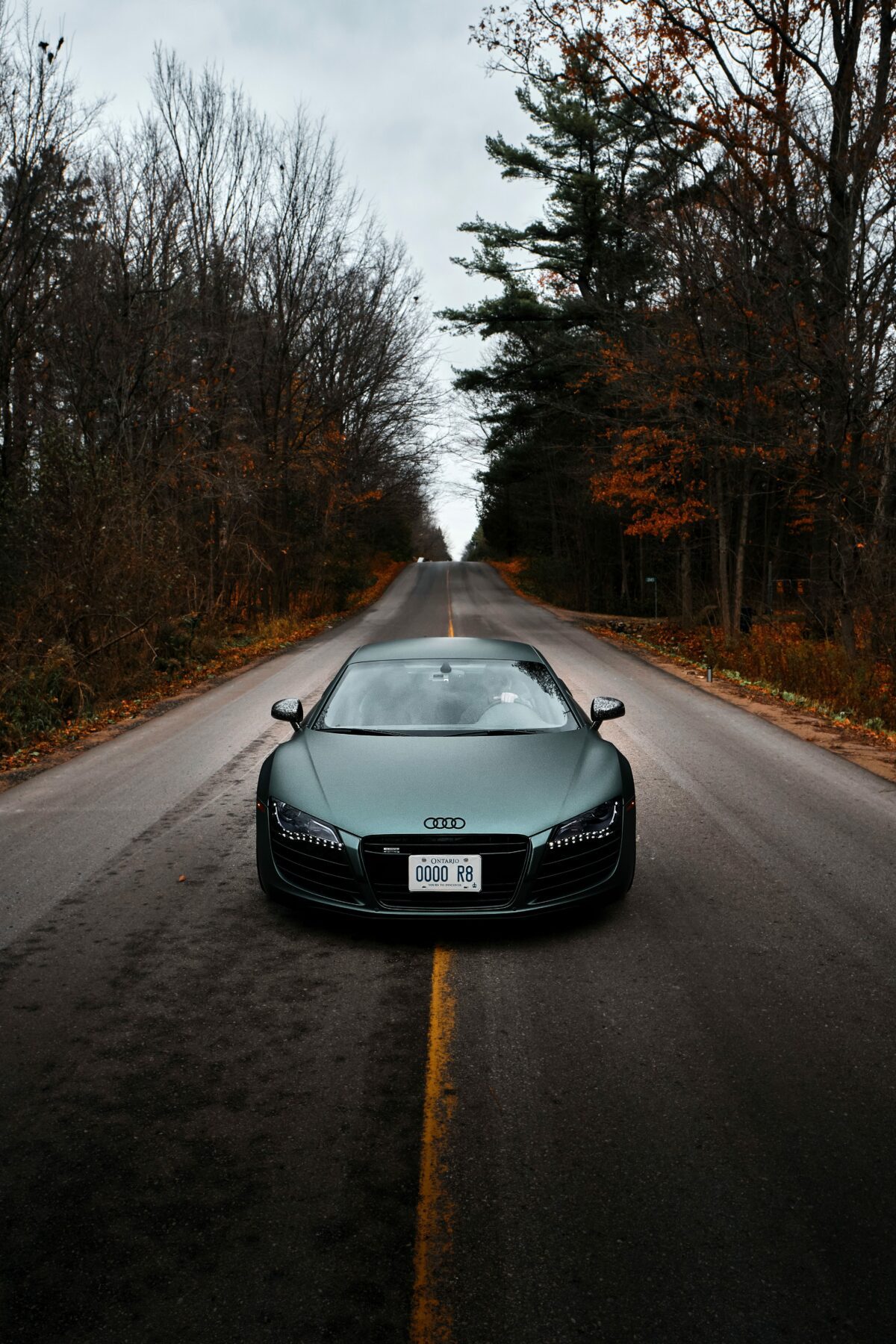 Audi R8 Matte Pine Green Met - Concept Wraps