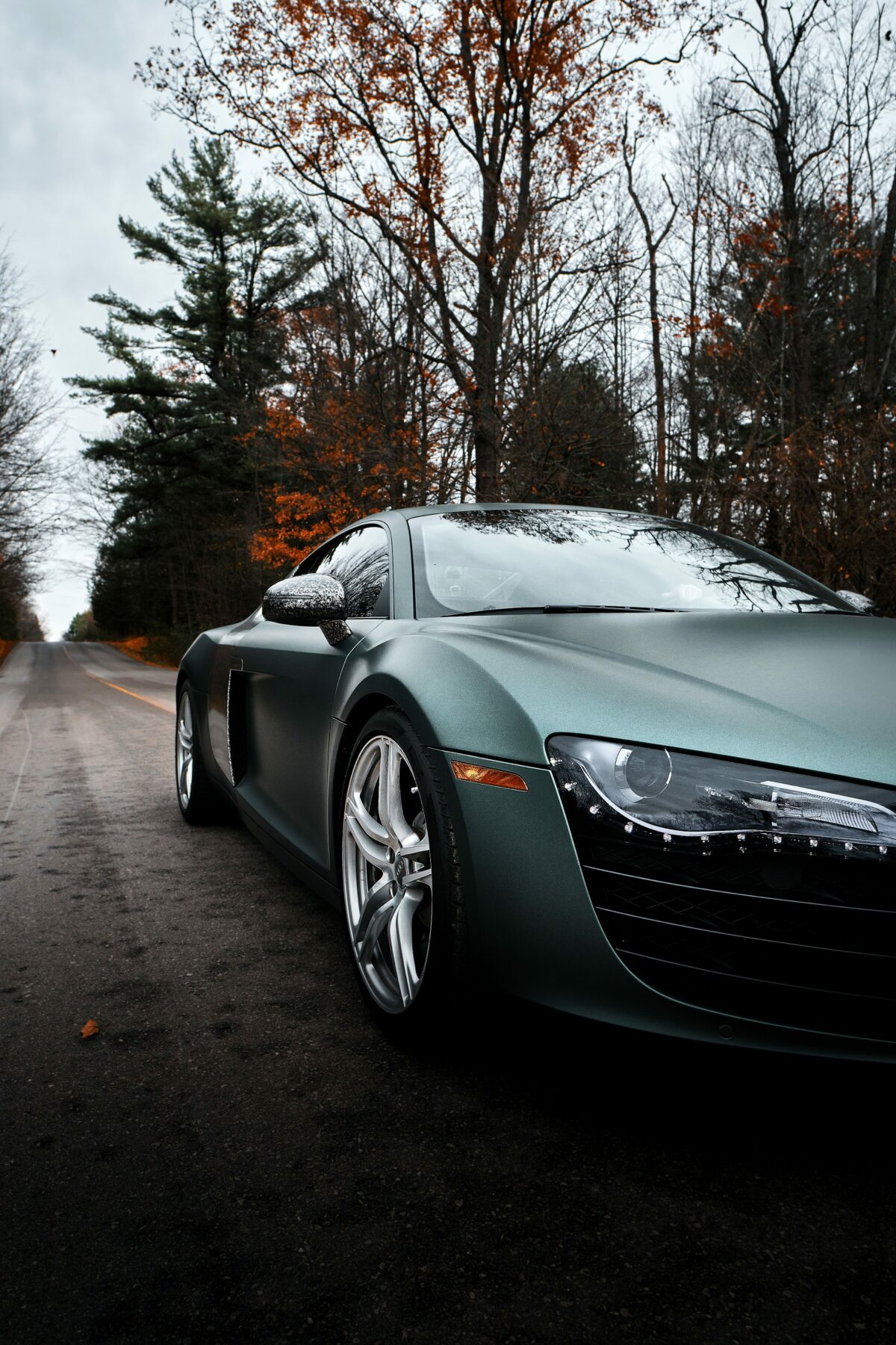 Audi R8 Matte Pine Green Met - Concept Wraps